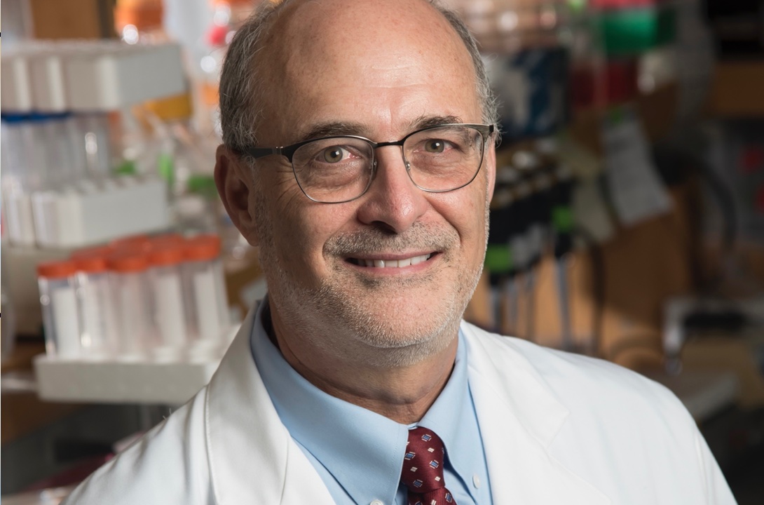 Ashley Lab's Instagram, Twitter & Facebook on IDCrawl