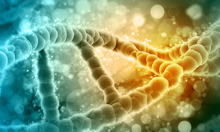 UPDATE: Hwang Named Director of Breast Cancer Disease Group | Duke ...