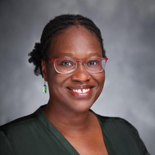 Whitney R Robinson | Associate Professor in Obstetrics and Gynecology ...