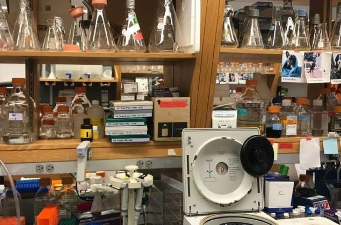 2021 Brings Changes to DCI Research Programs and Leadership | Duke ...